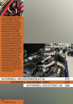 Automobil-Assistent/in EBA | sg.ch