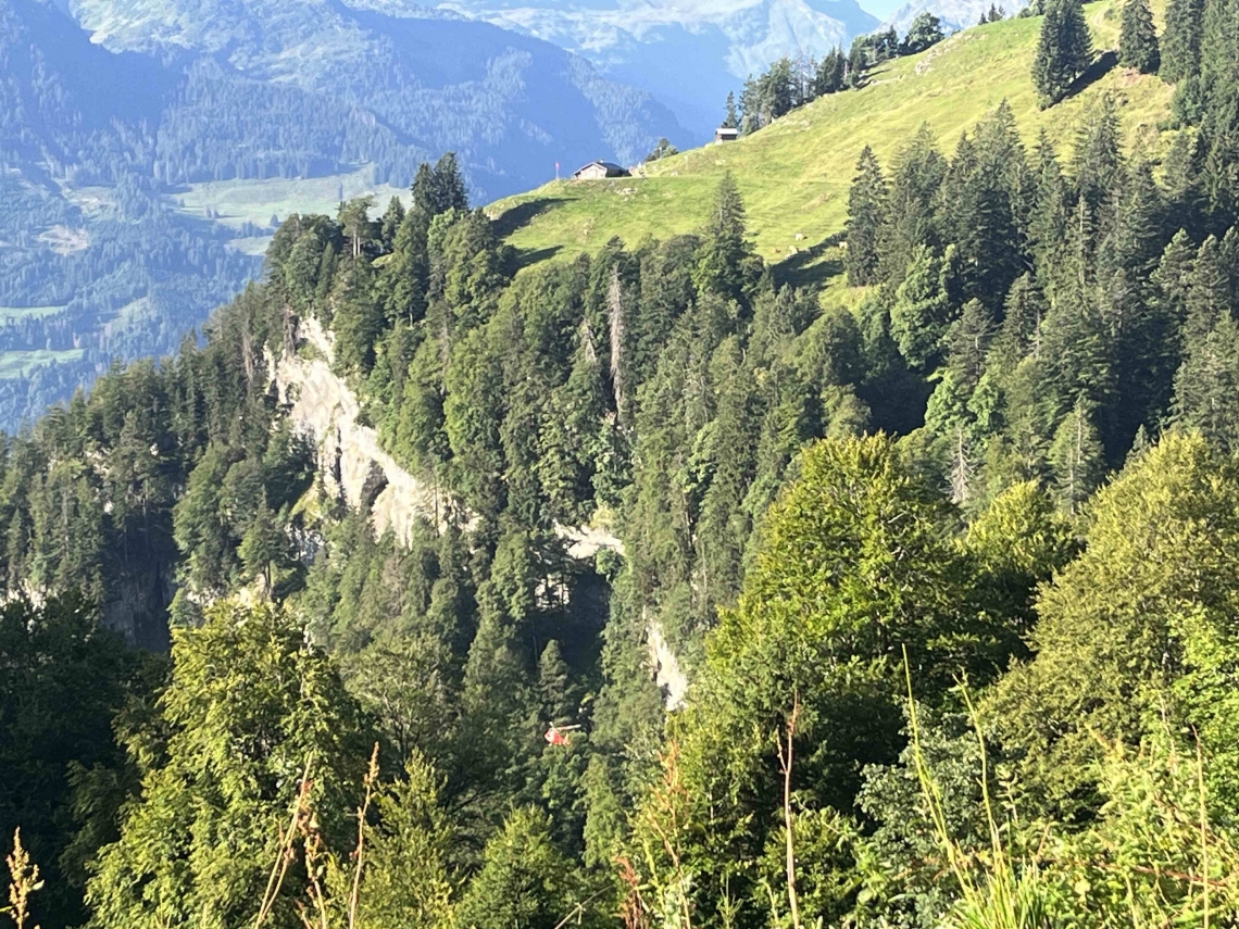 Quinten: Mit Auto Abhang hinuntergestürzt und tödlich verletzt worden ...